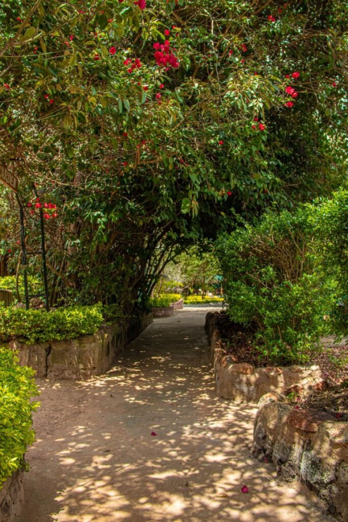 Entarakuet Hotel -Kiserian - Places to Visit in Kajiado